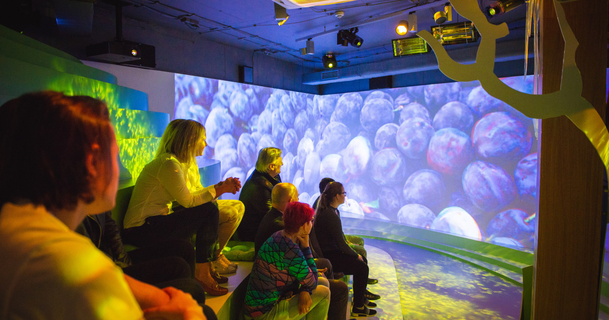 Ambient sound system